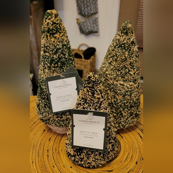 Threshold | Accents | Set Of 3 Rafia Trees By Threshold | Poshmark